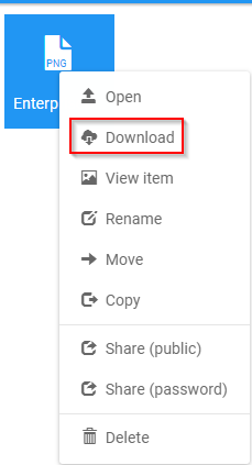 CompleteFTP: Web File Manager: Downloading Files