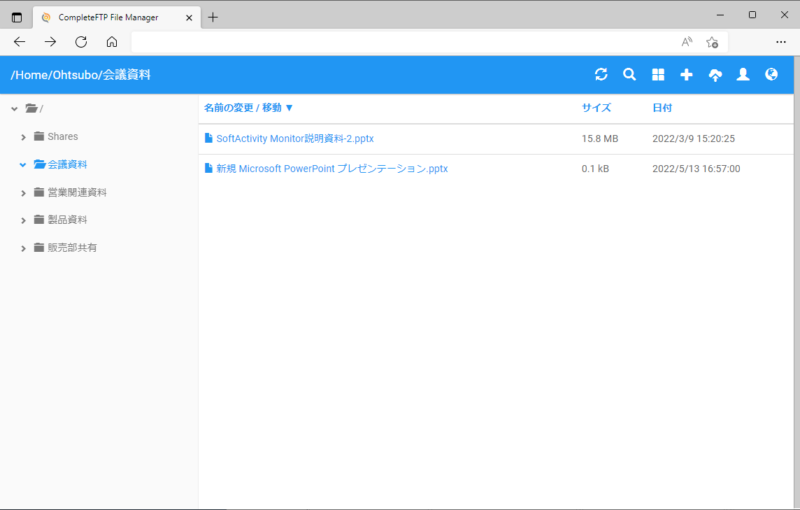File_Manager - EnterpriseDT